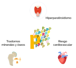 Equilibrio Renal | ¿QUÉ ES LA HIPERFOSFATEMIA?