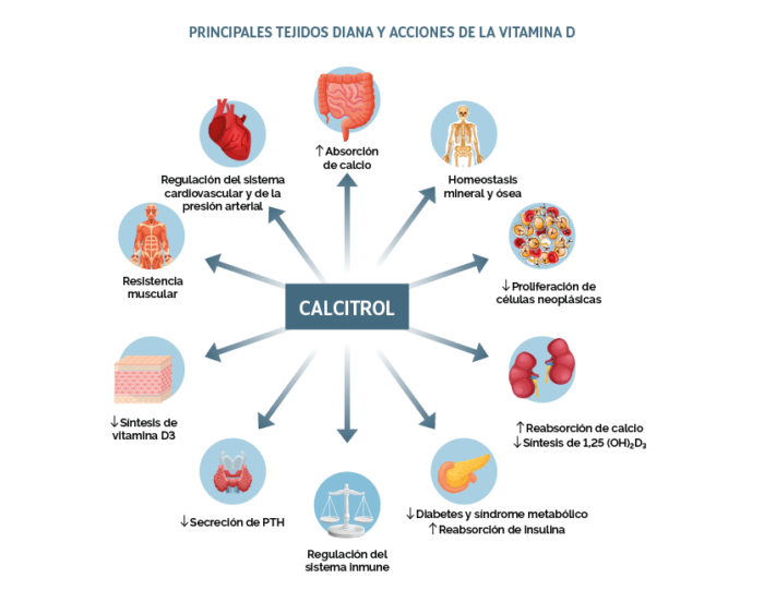Equilibrio Renal | Alteración óseo mineral en la ERC